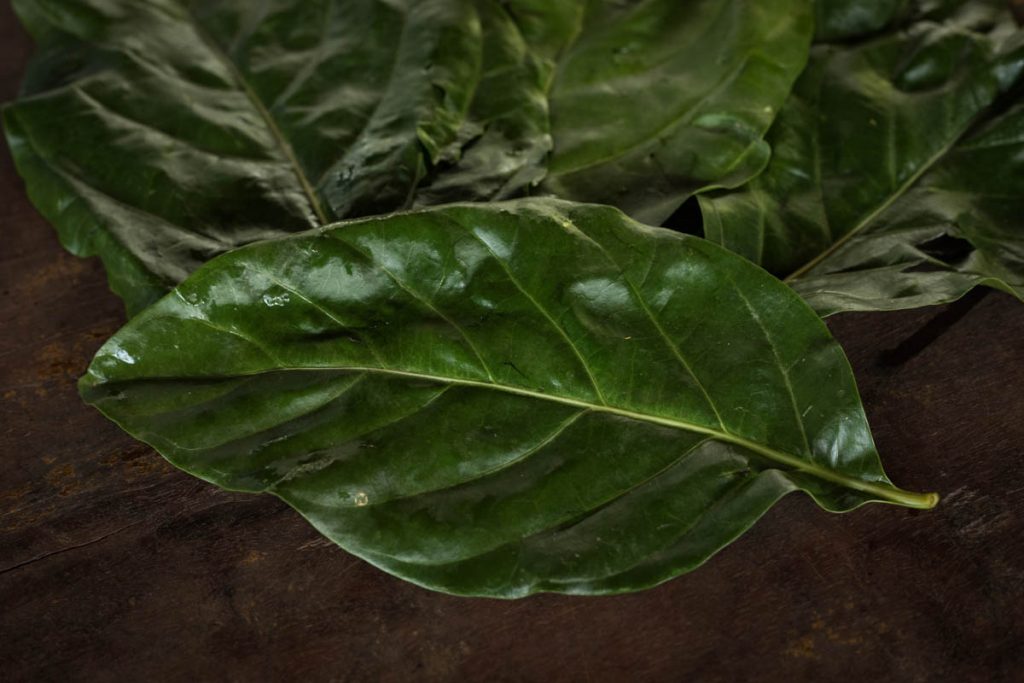 Cambodian Herbs in Khmer Cuisine | Changkran Khmer Restaurant